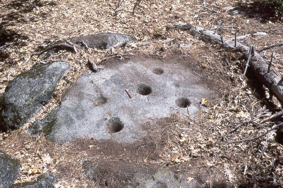 #11152024 Let’s Get Back To It! – Northstate Science